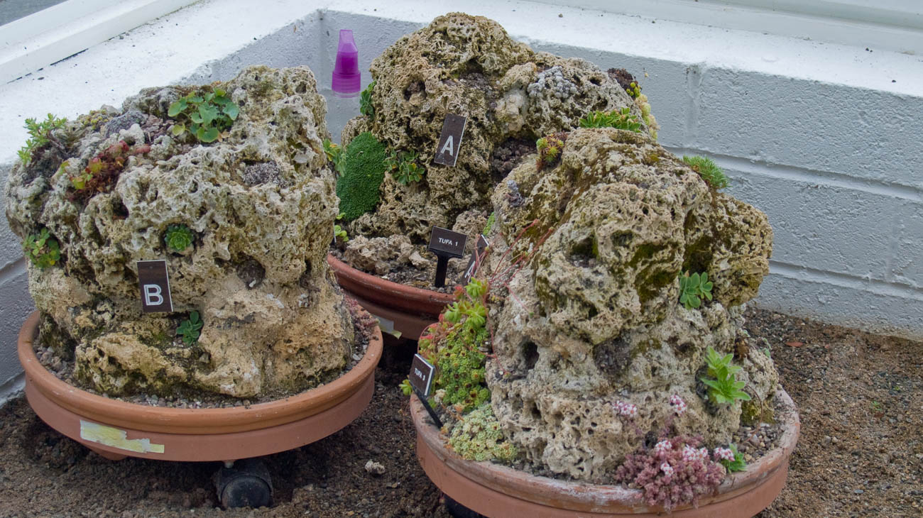 tufa - tufsteen - rotstuinen | Alpenplantenkwekerij Cathy Portier